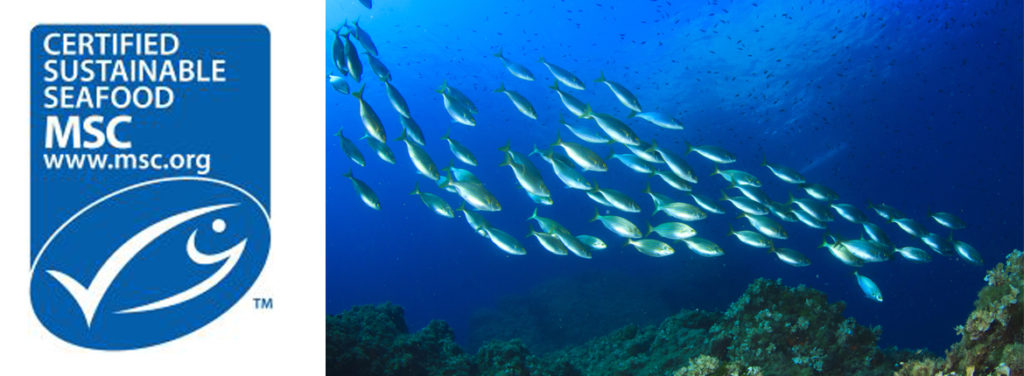 CO restaurants now serving MSC-certified seafood through Seattle Fish ...